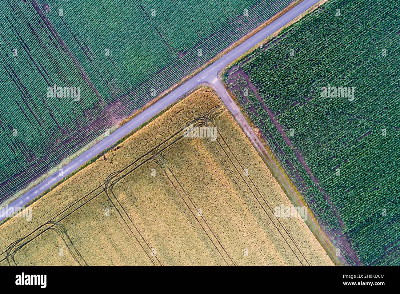 Abstract geometric shapes of agricultural parcels of different crops ...