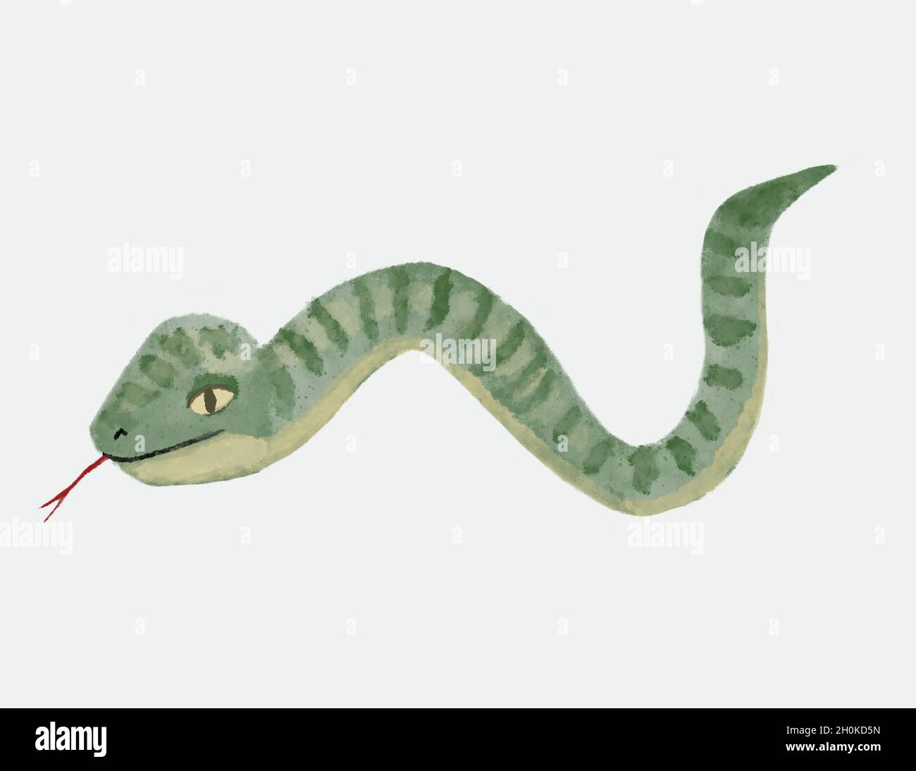 a cute green snake illustration Stock Photo - Alamy