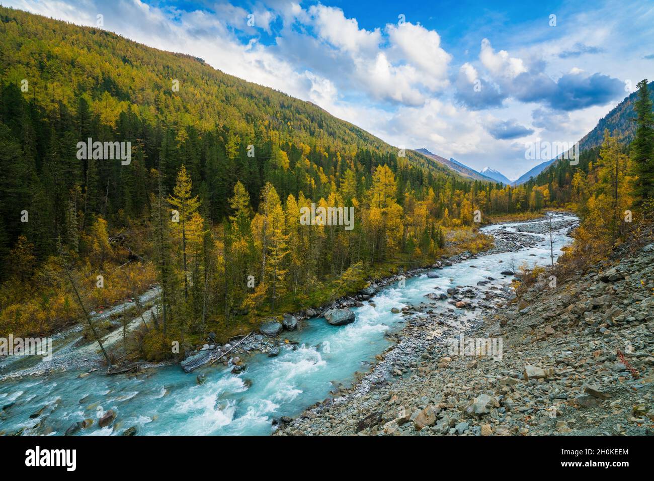 River in Akkem Valley in Altai Mountains Natural Park, surroundings of ...