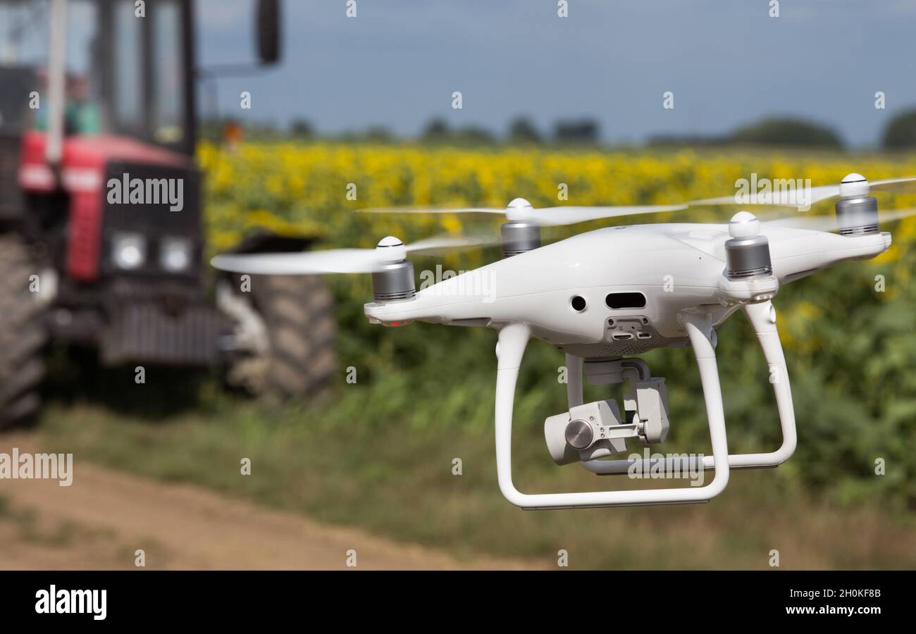 Drone flying in front of tractor with trailer in sunflower field in ...