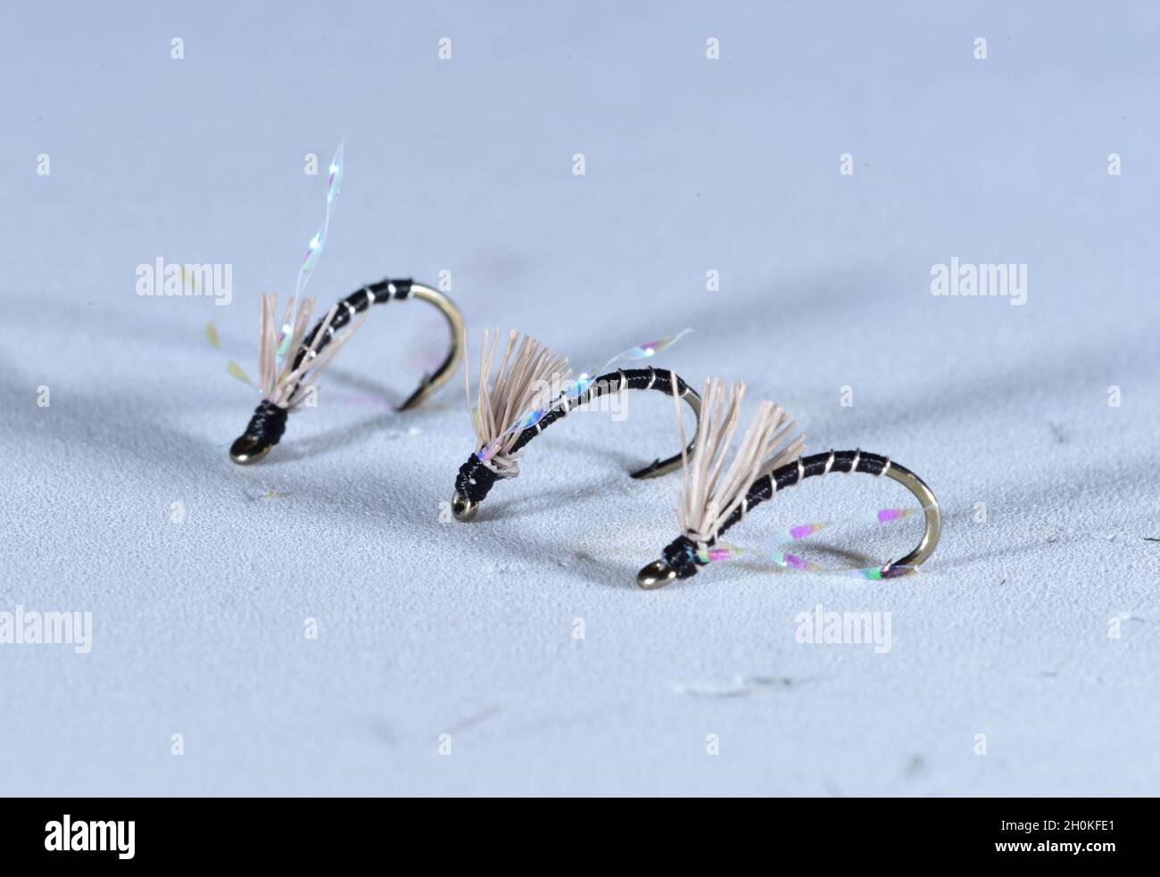 Group of Black midge pupae trout flies Stock Photo - Alamy