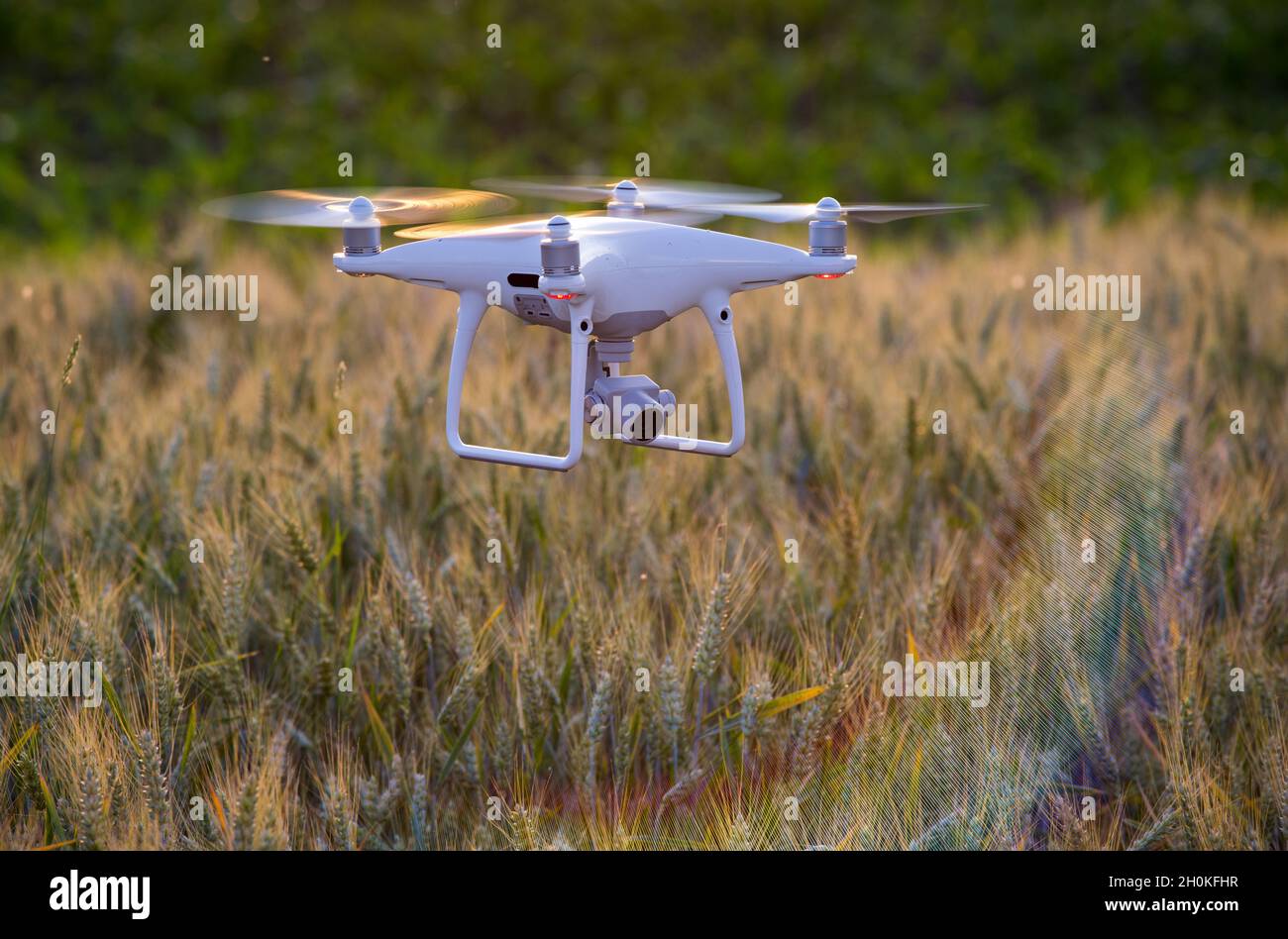Drone flying and mapping wheat field in spring. Farmland surveying and ...