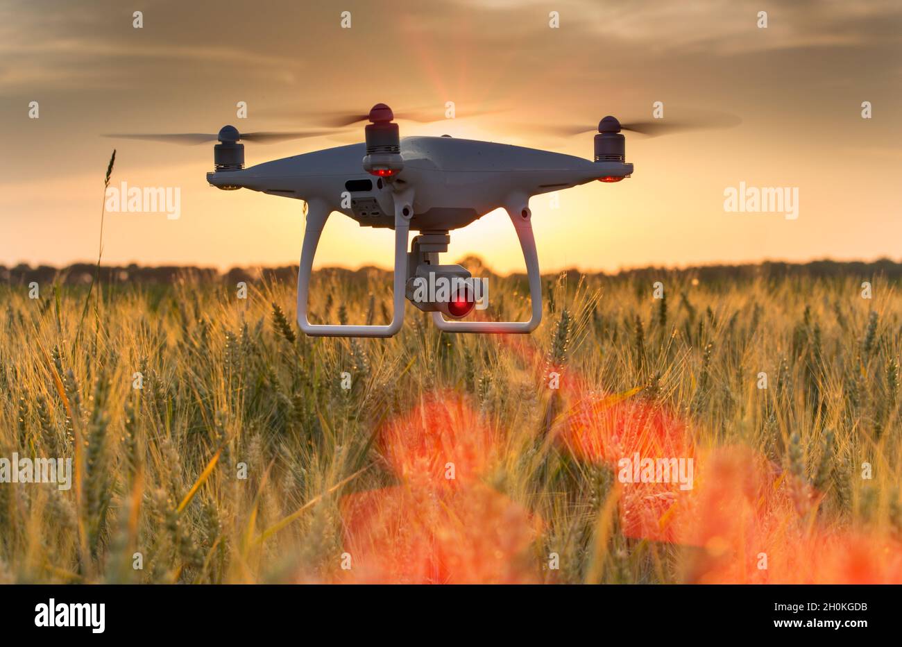 Drone flying and mapping wheat field in spring. Farmland surveying and ...