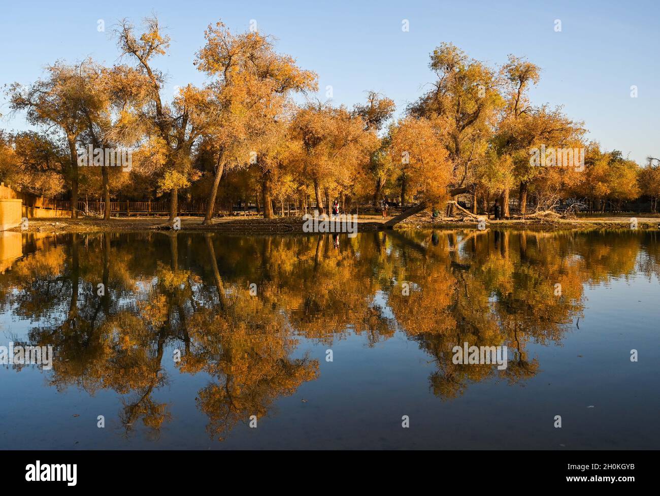 Araxan. 11th Oct, 2021. Photo taken on Oct. 11, 2021 shows the autumn ...