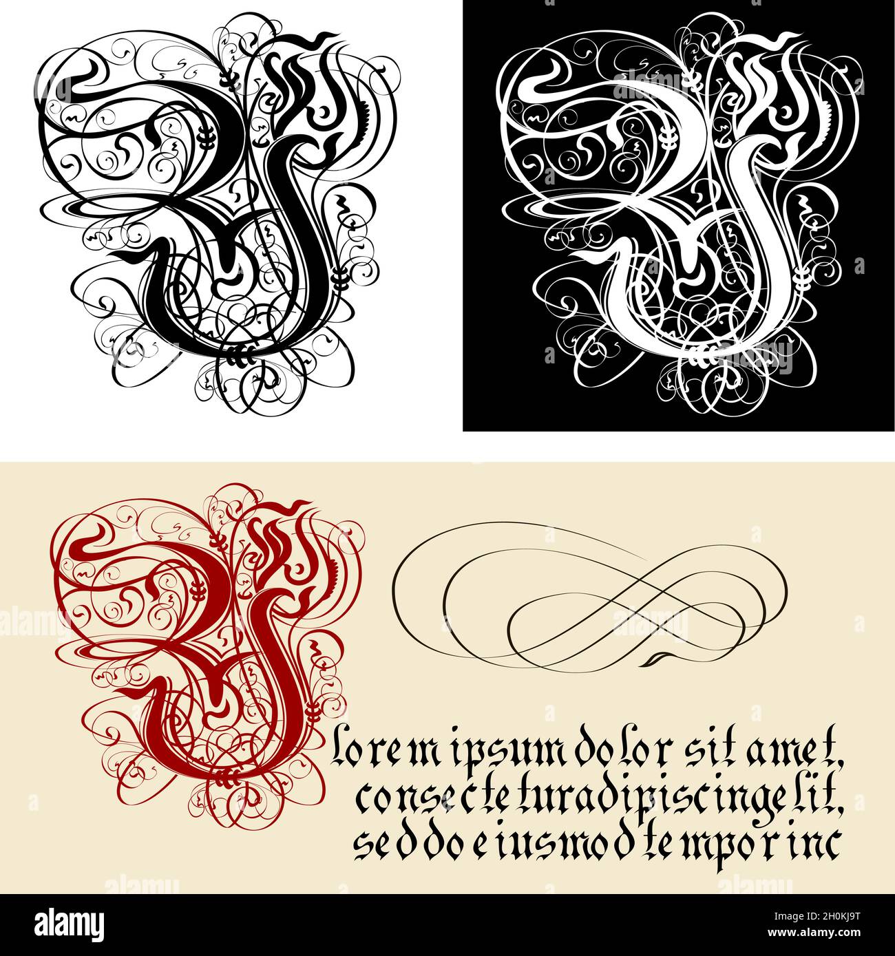 Decorative Gothic Letter Y. Uncial Fraktur calligraphy. Vector Eps-10 ...