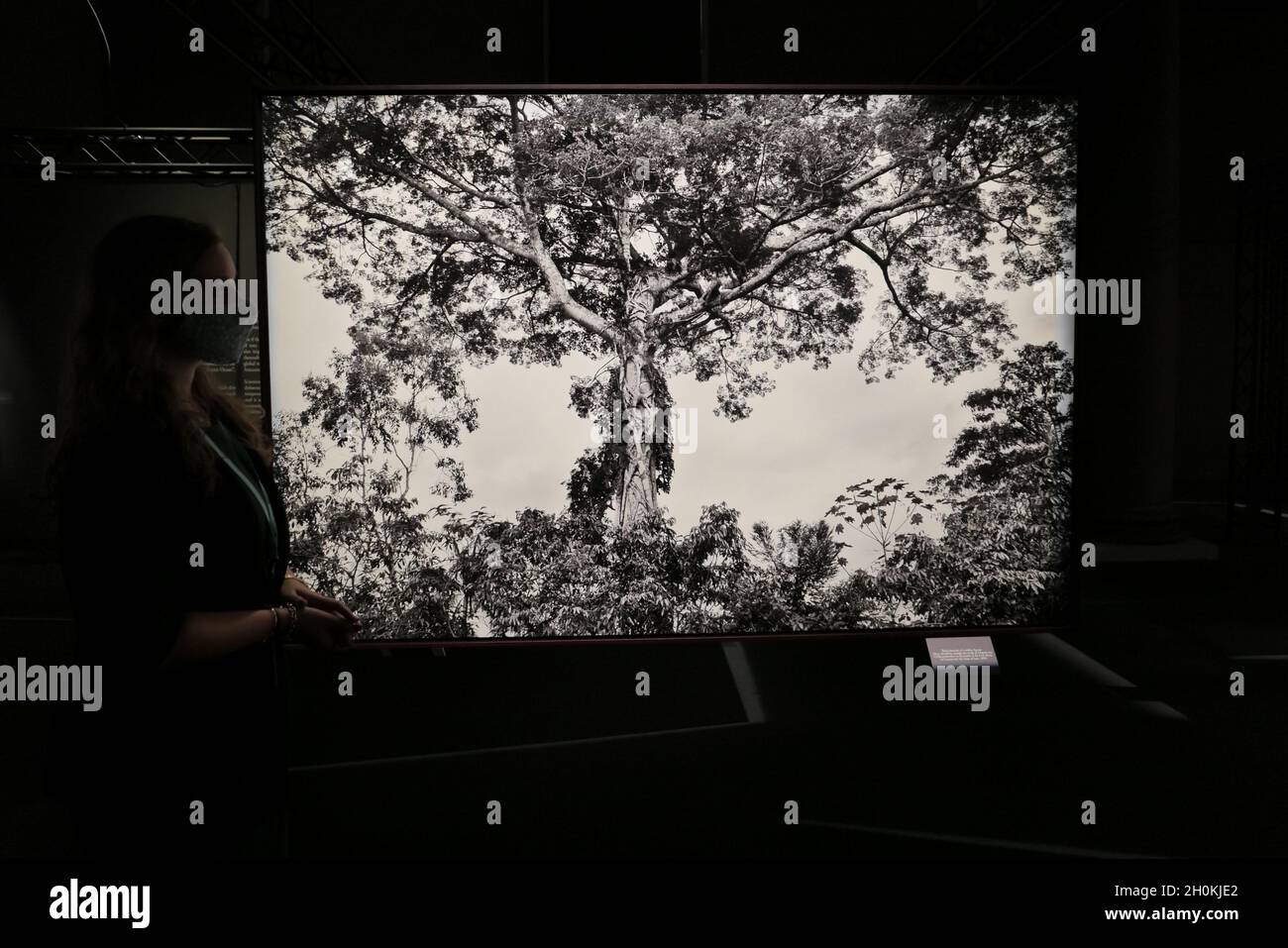 Sebastião Salgado, winner of the 2021 Praemium Imperiale award for ...