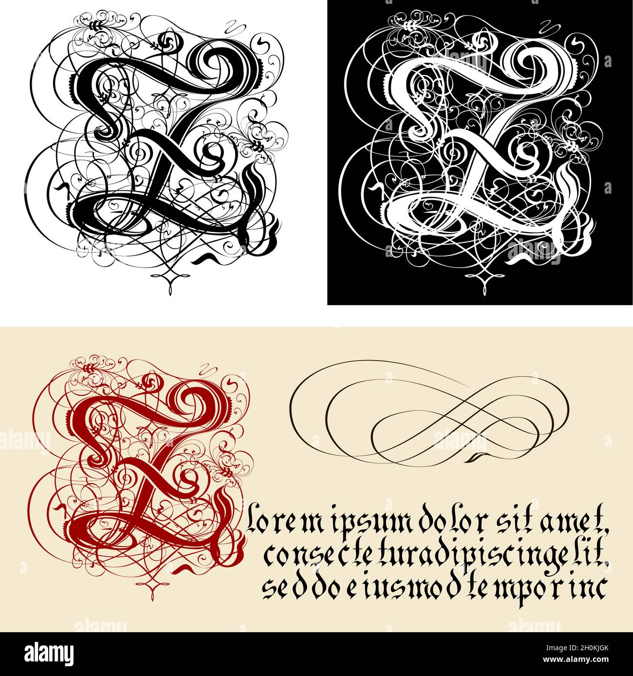 Decorative Gothic Letter Z. Uncial Fraktur calligraphy. Vector Eps-10 ...