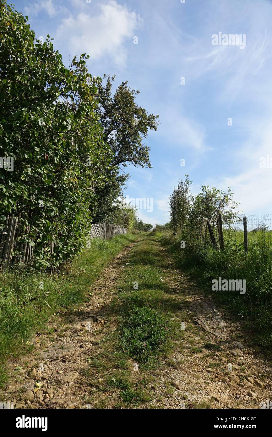 Field path in a typical Wallonian landscape in late summer near Torgny ...