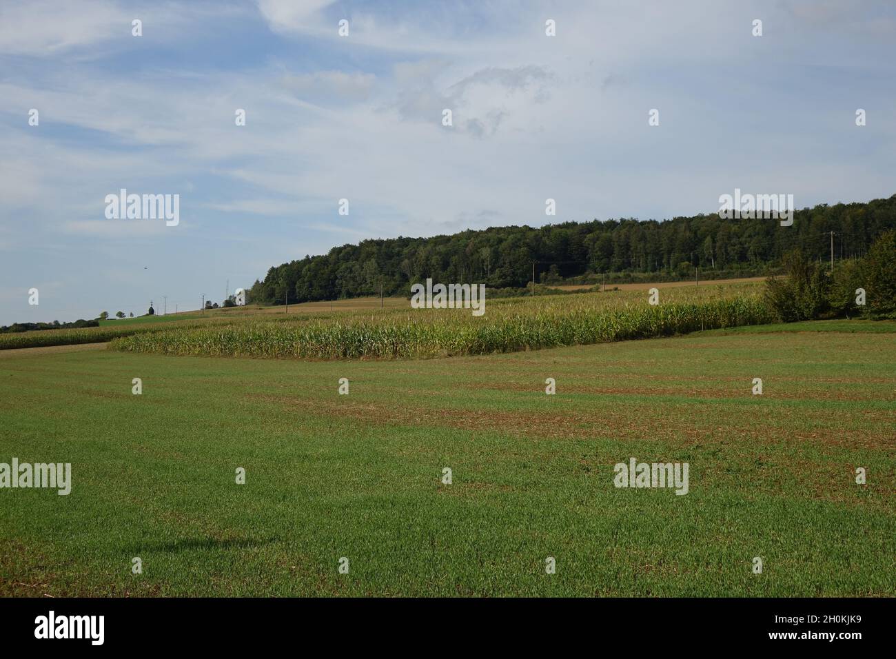 Typical Wallonian landscape in late summer near Torgny, Rouvroy ...