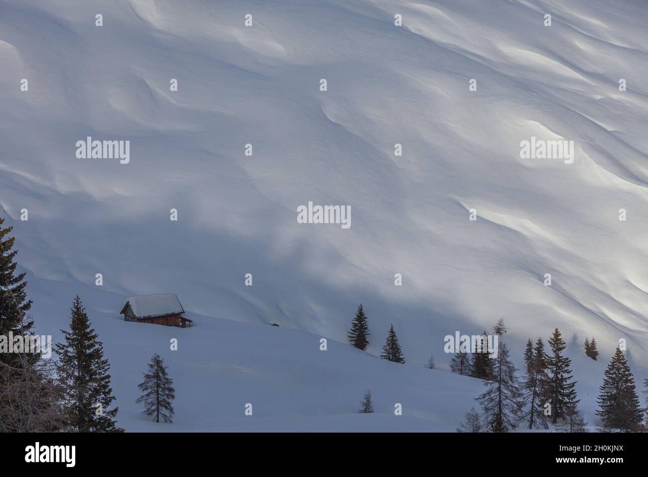 Isolated hut in gentle snow - covered slope with some trees Stock Photo ...