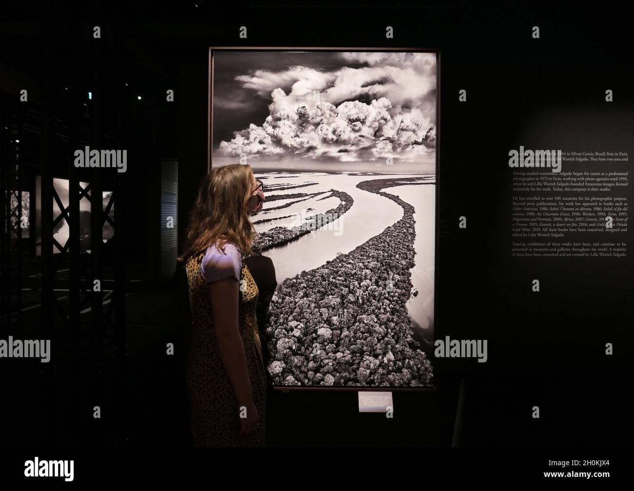 Sebastiao salgado forest hi-res stock photography and images - Alamy