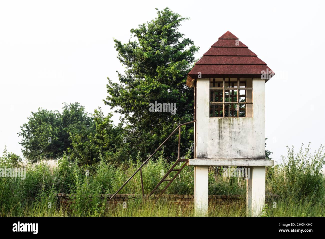 Old concrete watch tower in the jungle close up under the foggy sky ...
