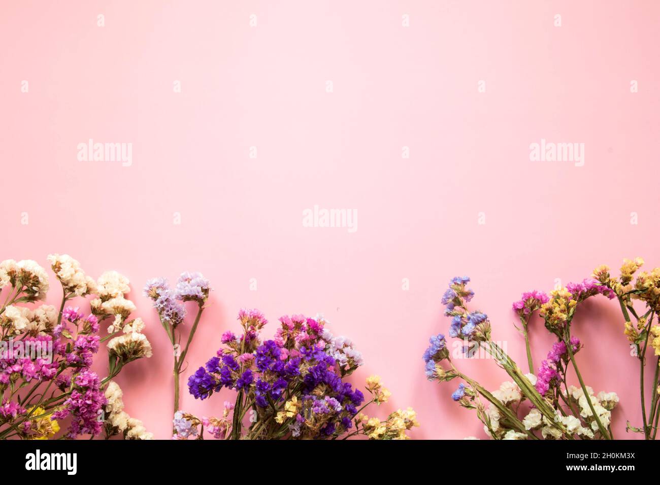 Multi colored flower border hi-res stock photography and images - Alamy