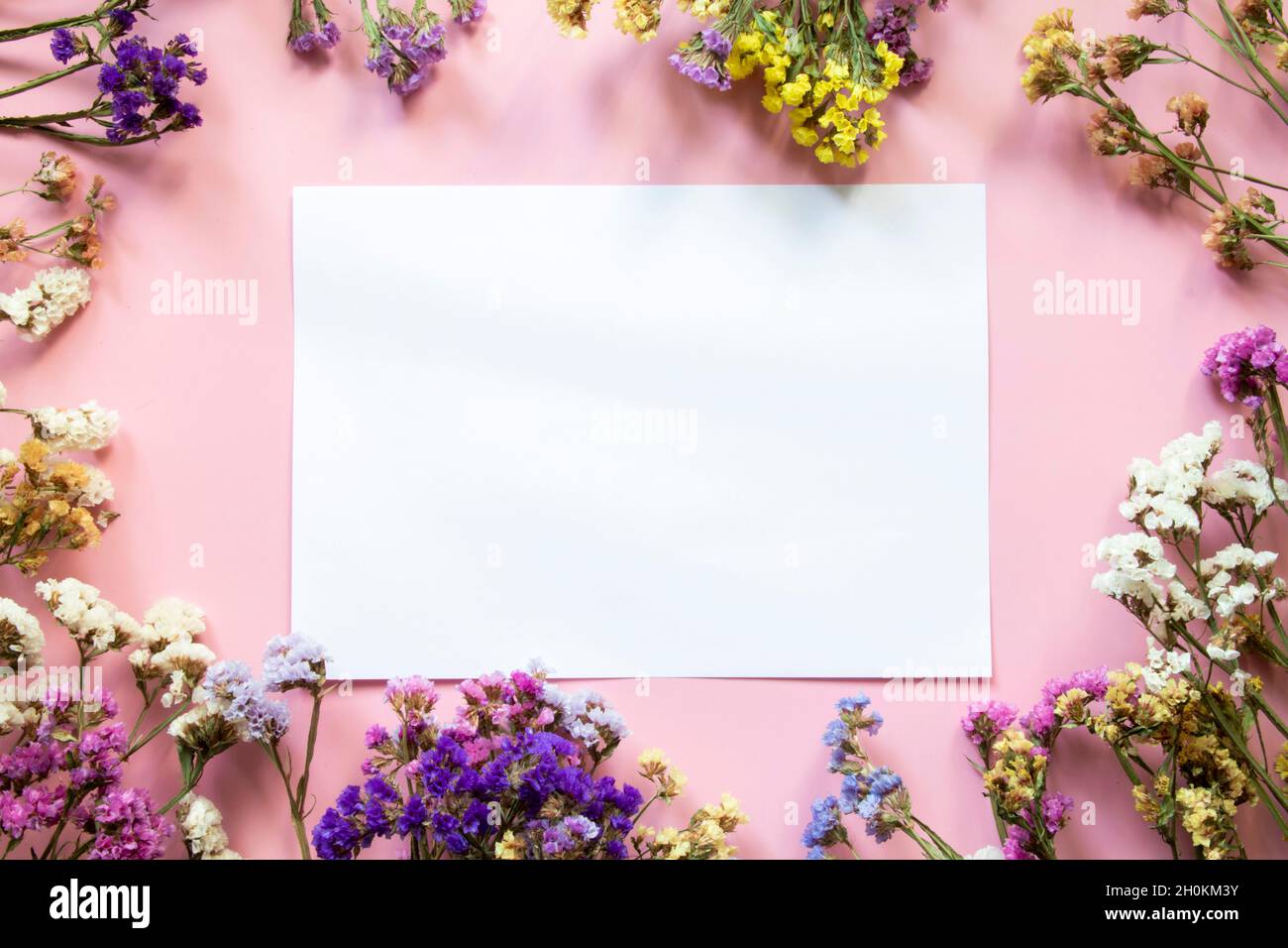 Multi colored flower border hi-res stock photography and images - Alamy