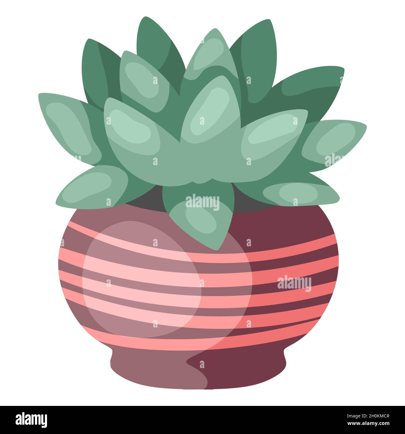 Stylized illustration of succulent in pot. Image for design or ...