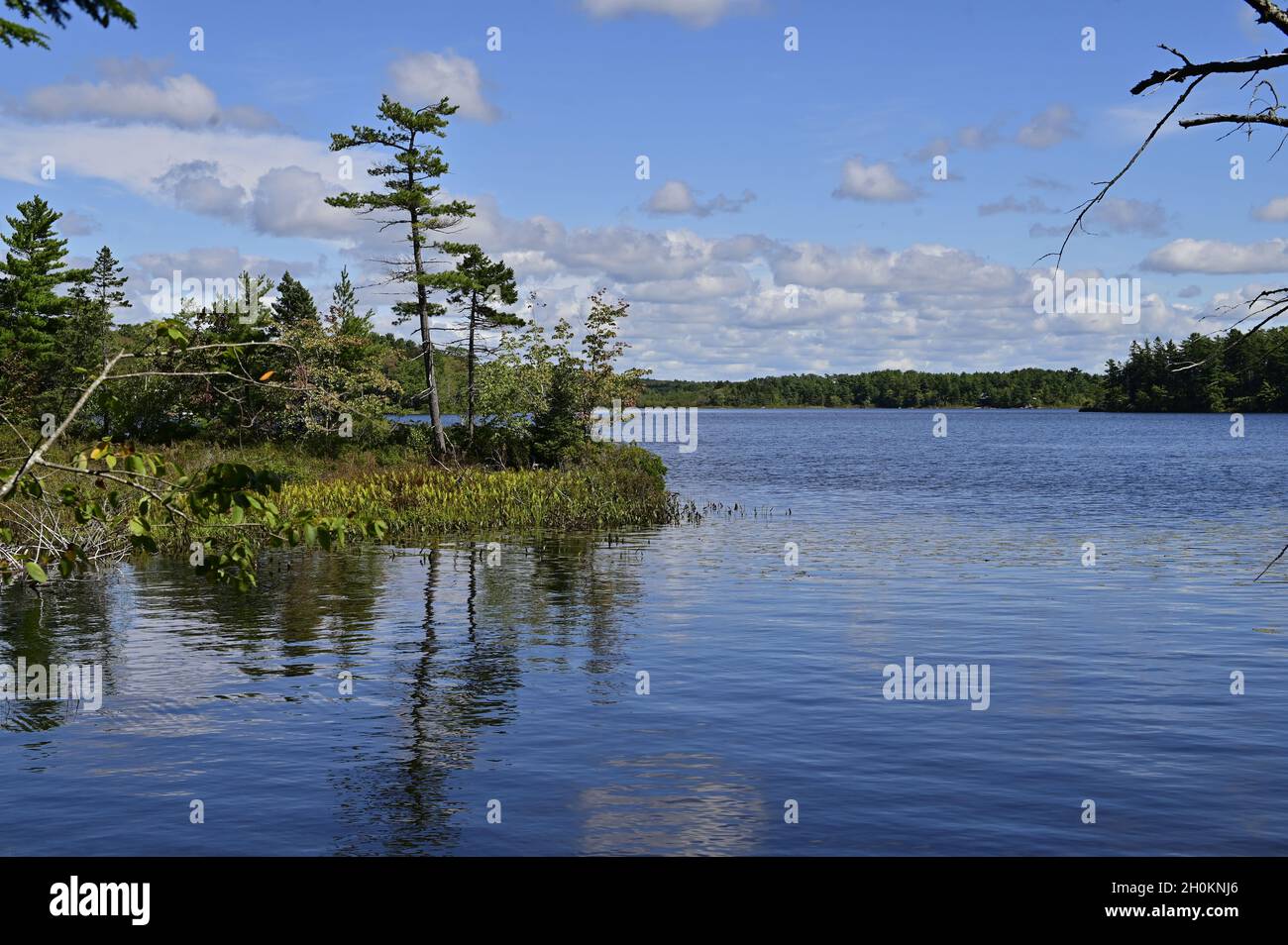 View of the forest lake and blue sky with clouds. Parks of Canada ...