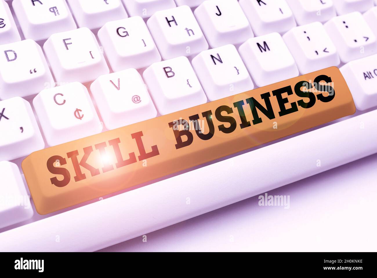 Text sign showing Skill Business. Business overview Ability to handle ...