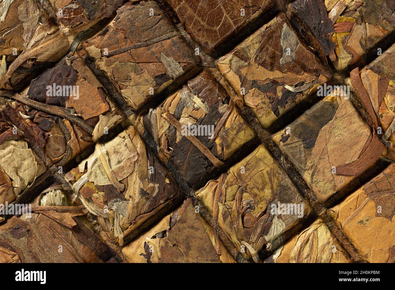 Tea pressing split closeup, white tea tea leaves, tea elements ...