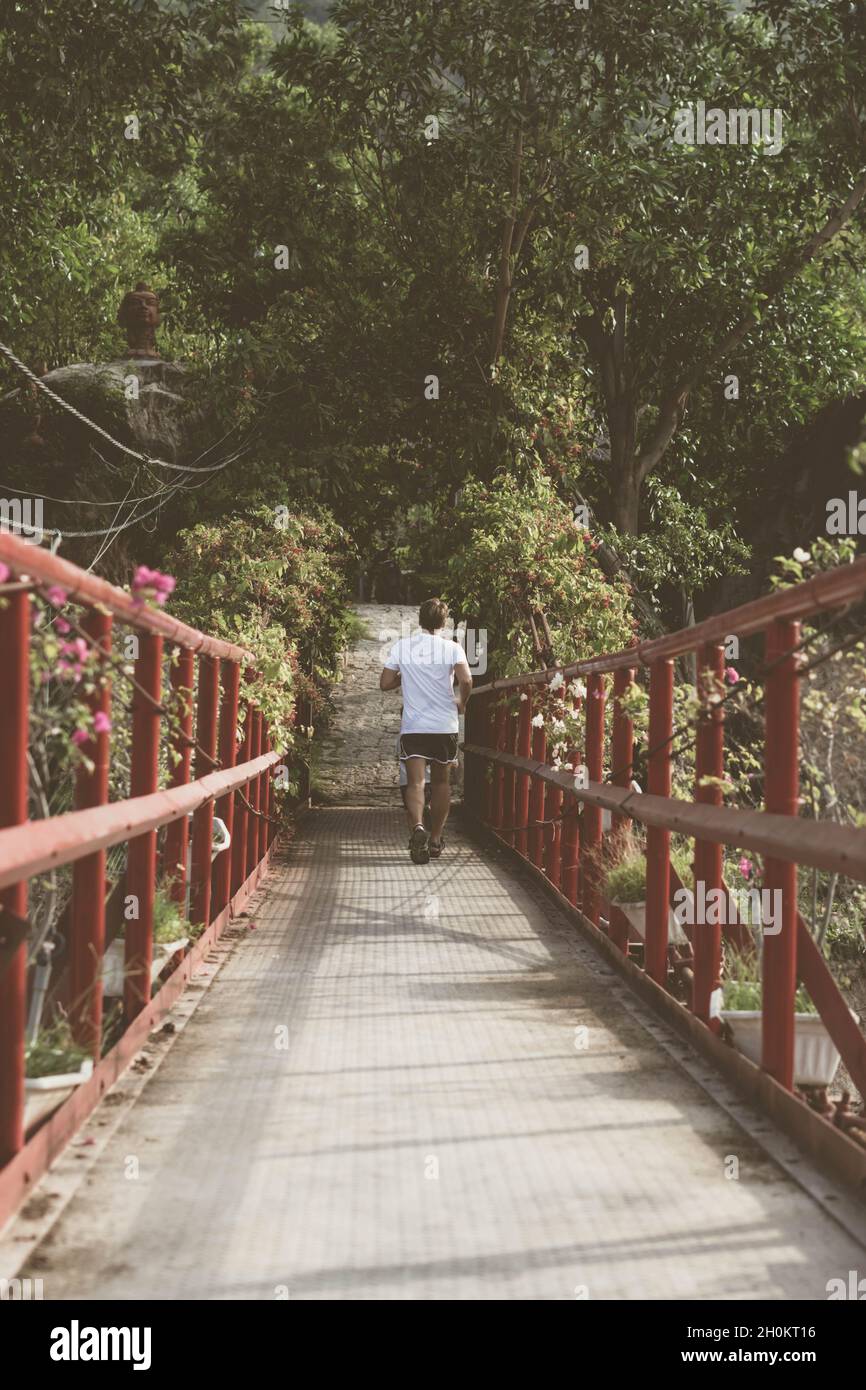 Suspension pedestrian iron bridge perspective footpath summer forest ...
