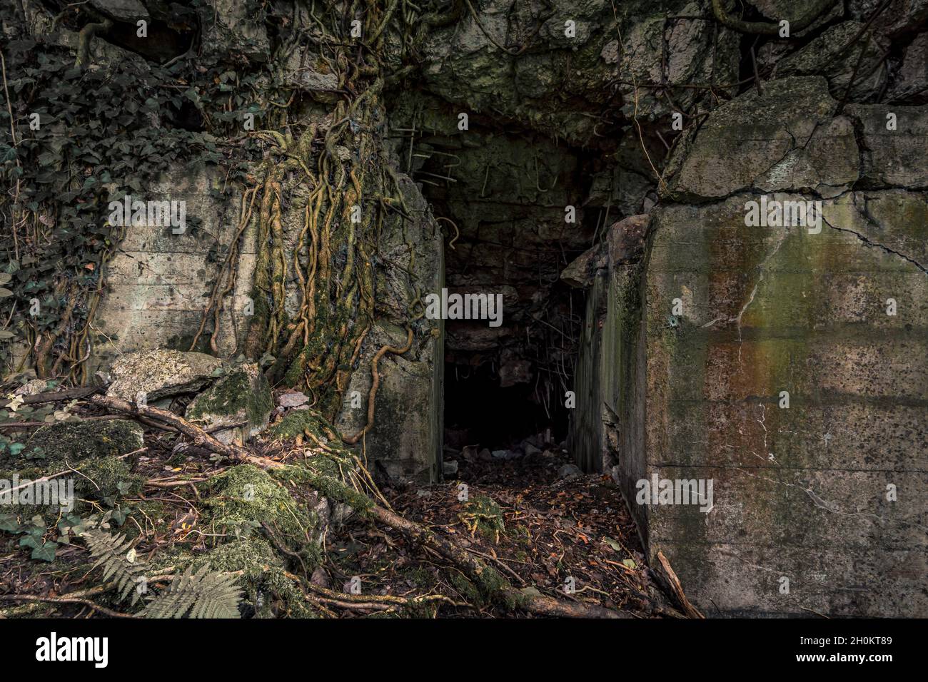 Old blown up remains of some Siegfried Line bunkers along the border ...