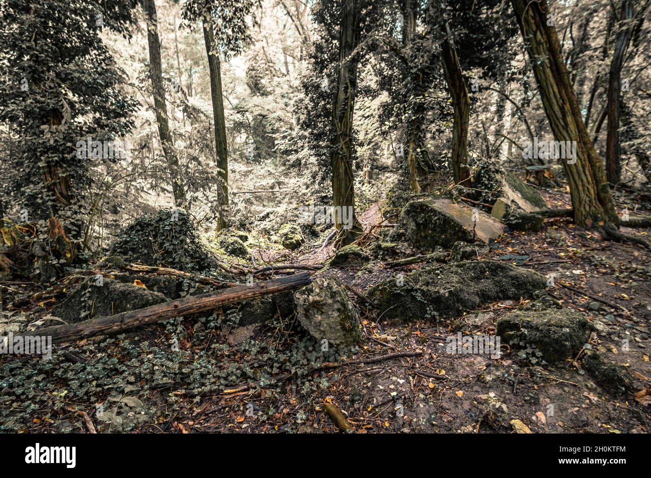 Old blown up remains of some Siegfried Line bunkers along the border ...