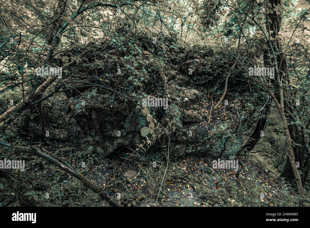 Old blown up remains of some Siegfried Line bunkers along the border ...