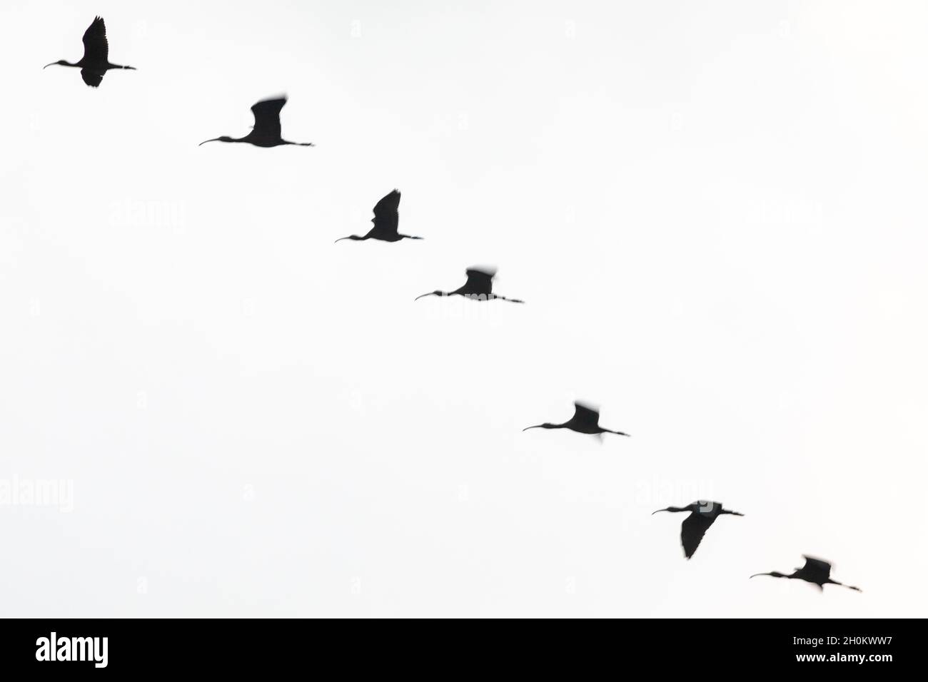 From left right movement wide hi-res stock photography and images - Alamy