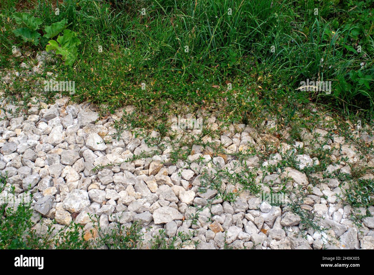 dirt road with a small stone in the village, in summer Stock Photo - Alamy