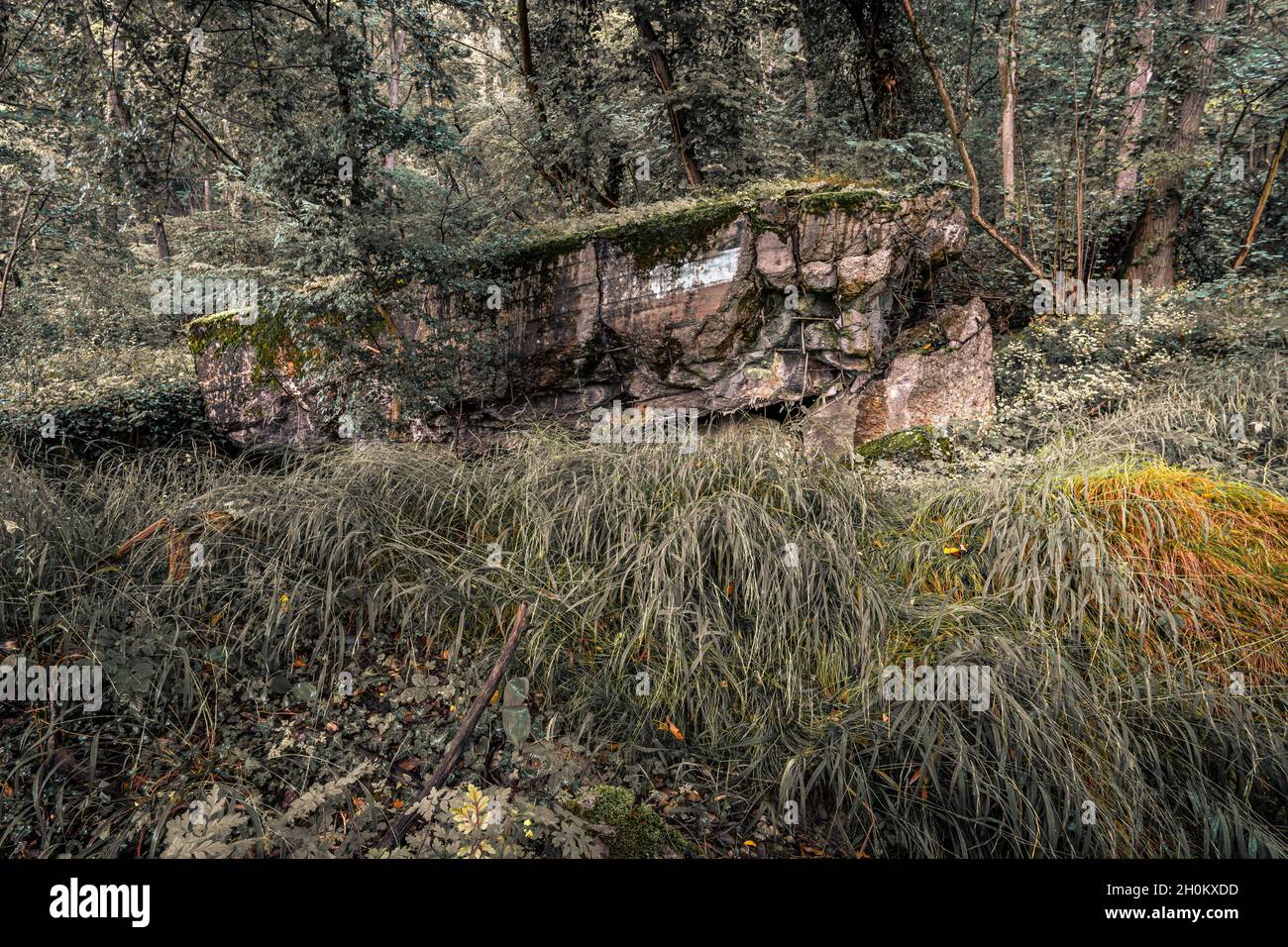 Old blown up remains of some Siegfried Line bunkers along the border ...
