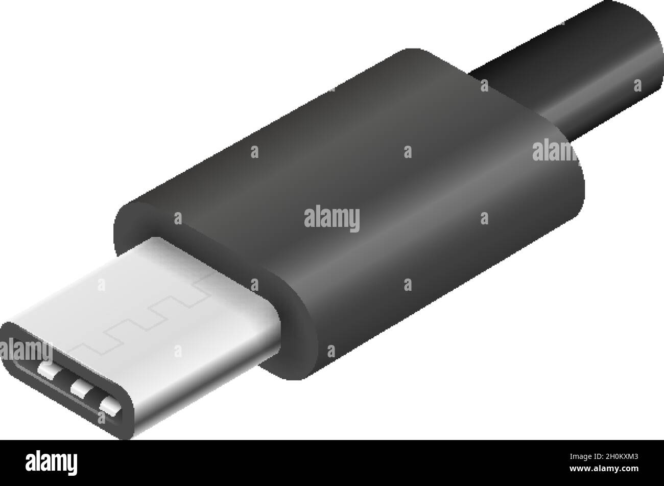 USB Type C Cable Plugs Isolated on White Background Stock Vector Image ...