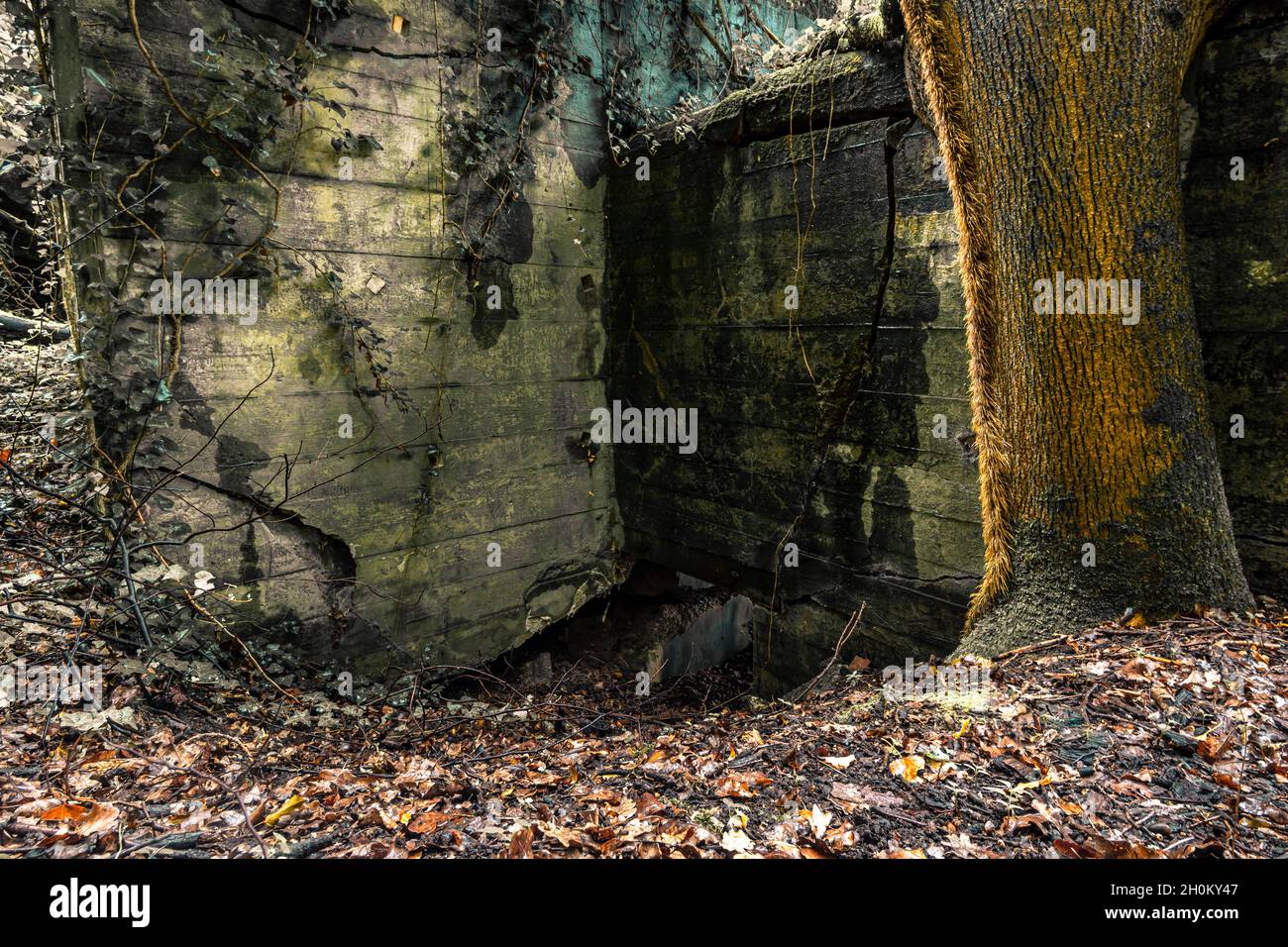 Old blown up remains of some Siegfried Line bunkers along the border ...