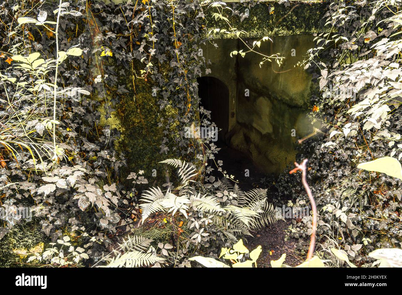 Old blown up remains of some Siegfried Line bunkers along the border ...