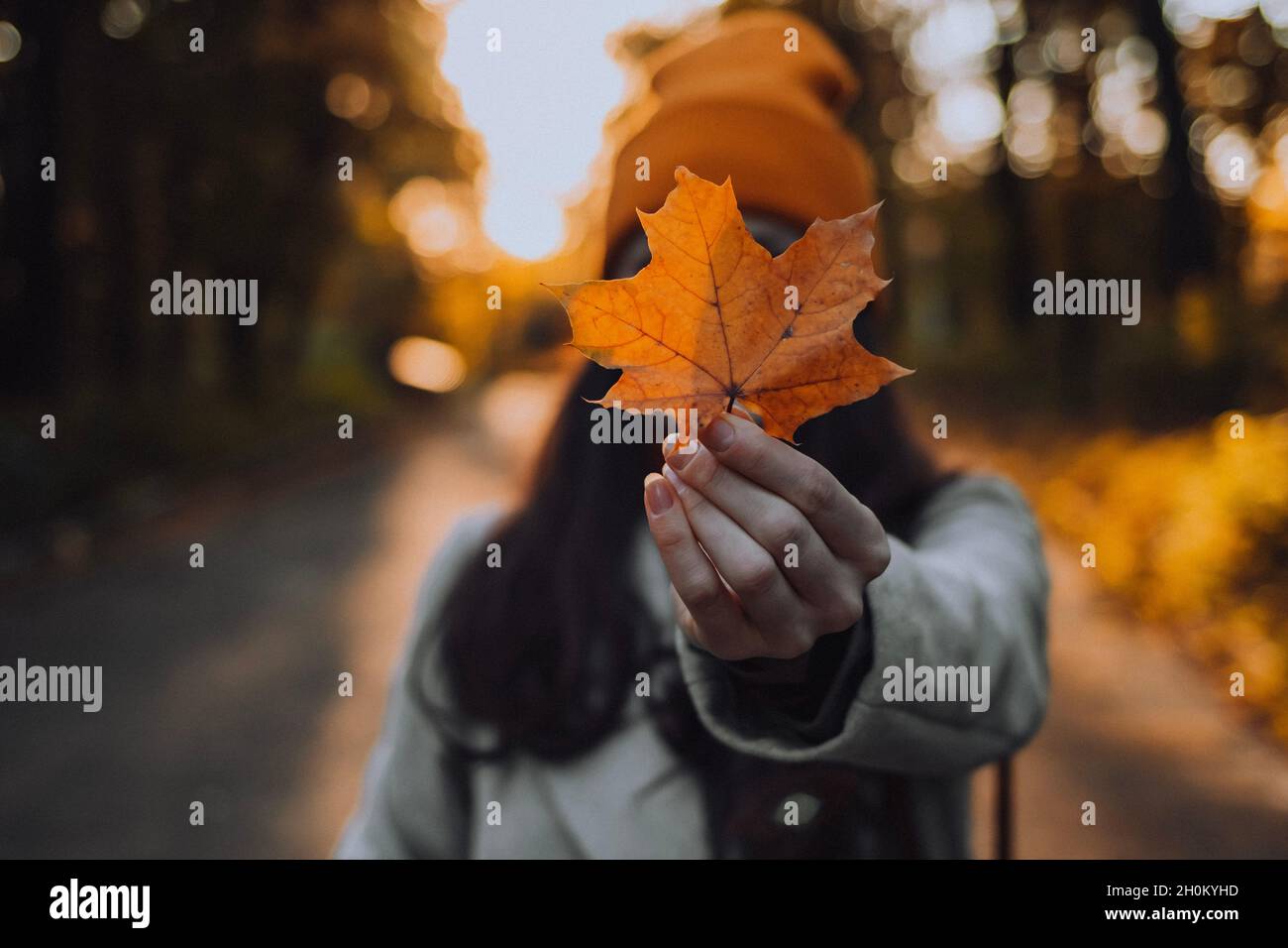 Young woman is holding a maple leaf in front of her face by covering it ...
