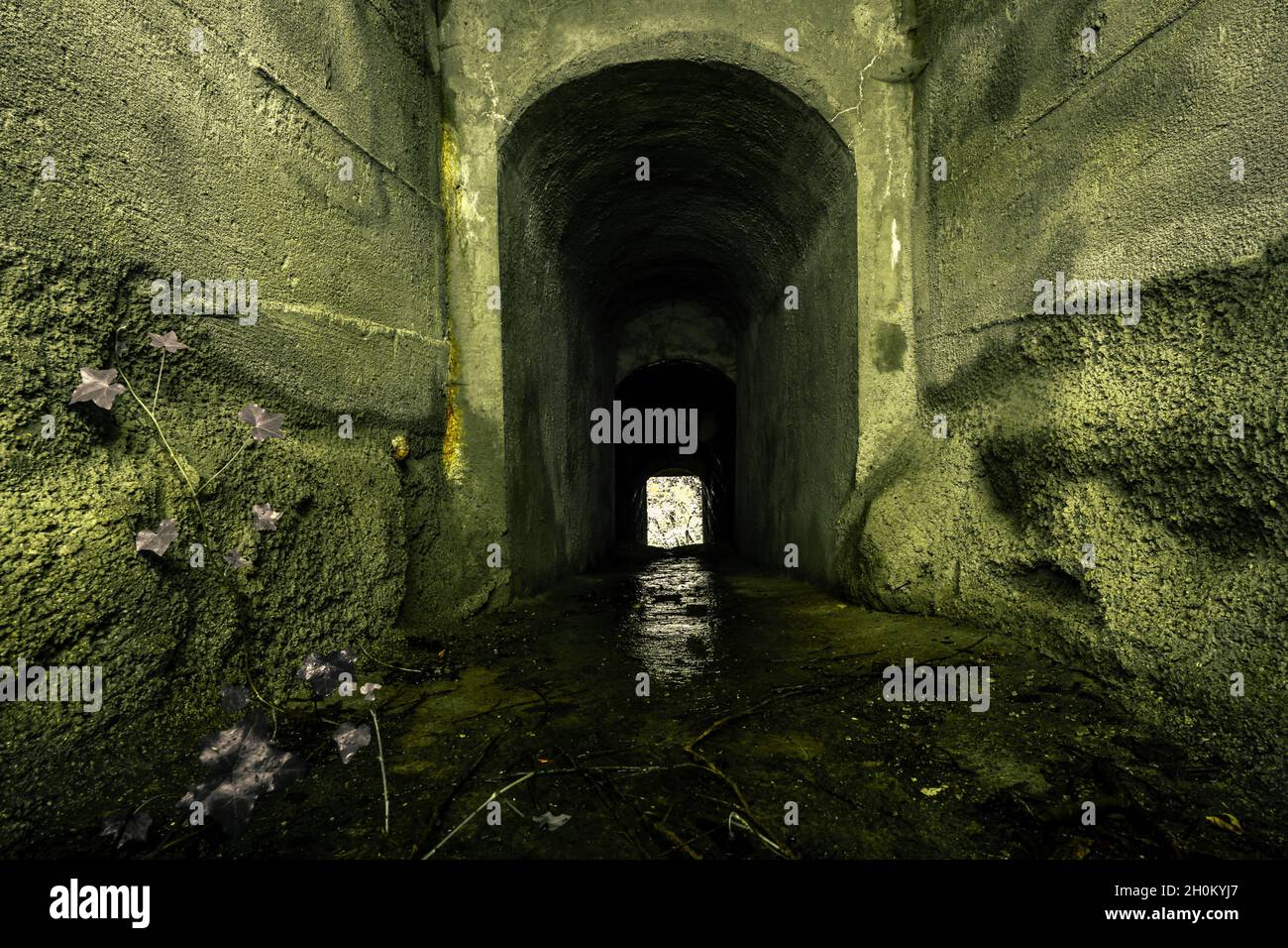 Old blown up remains of some Siegfried Line bunkers along the border ...