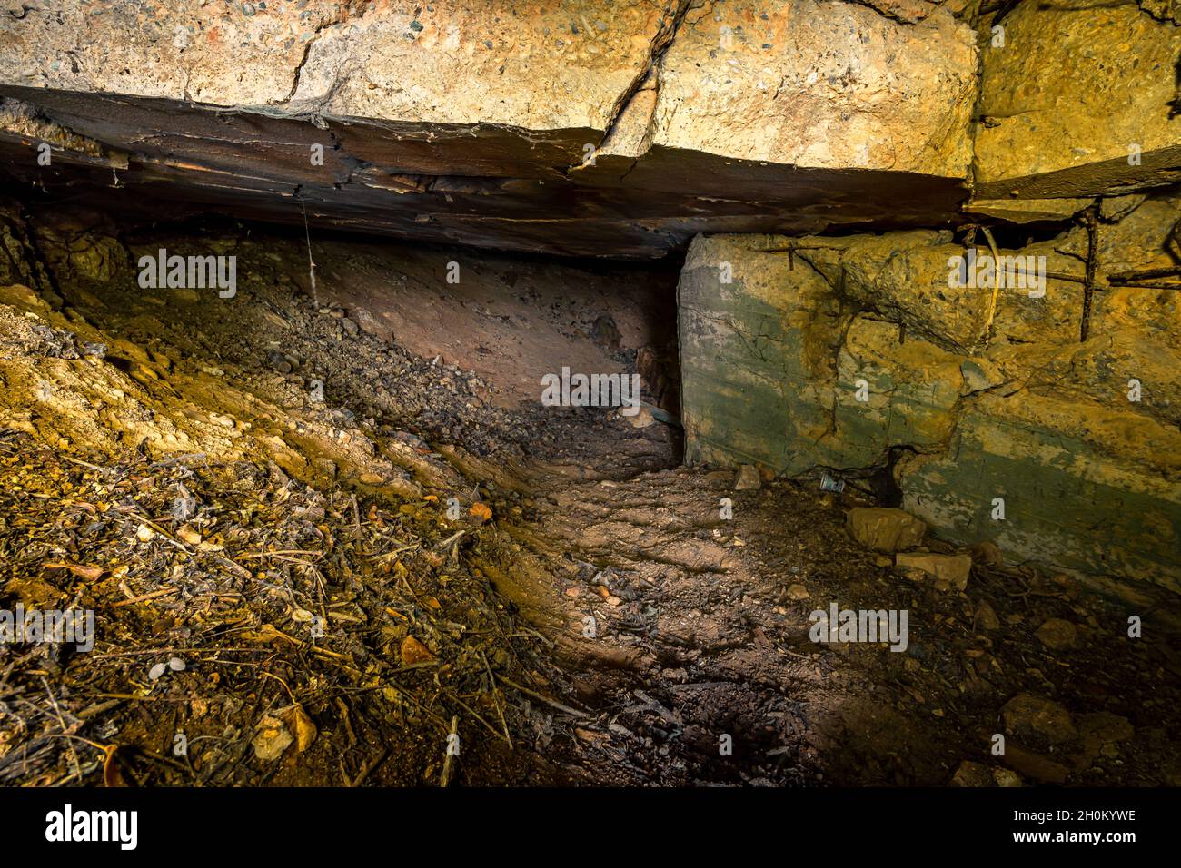 Old blown up remains of some Siegfried Line bunkers along the border ...