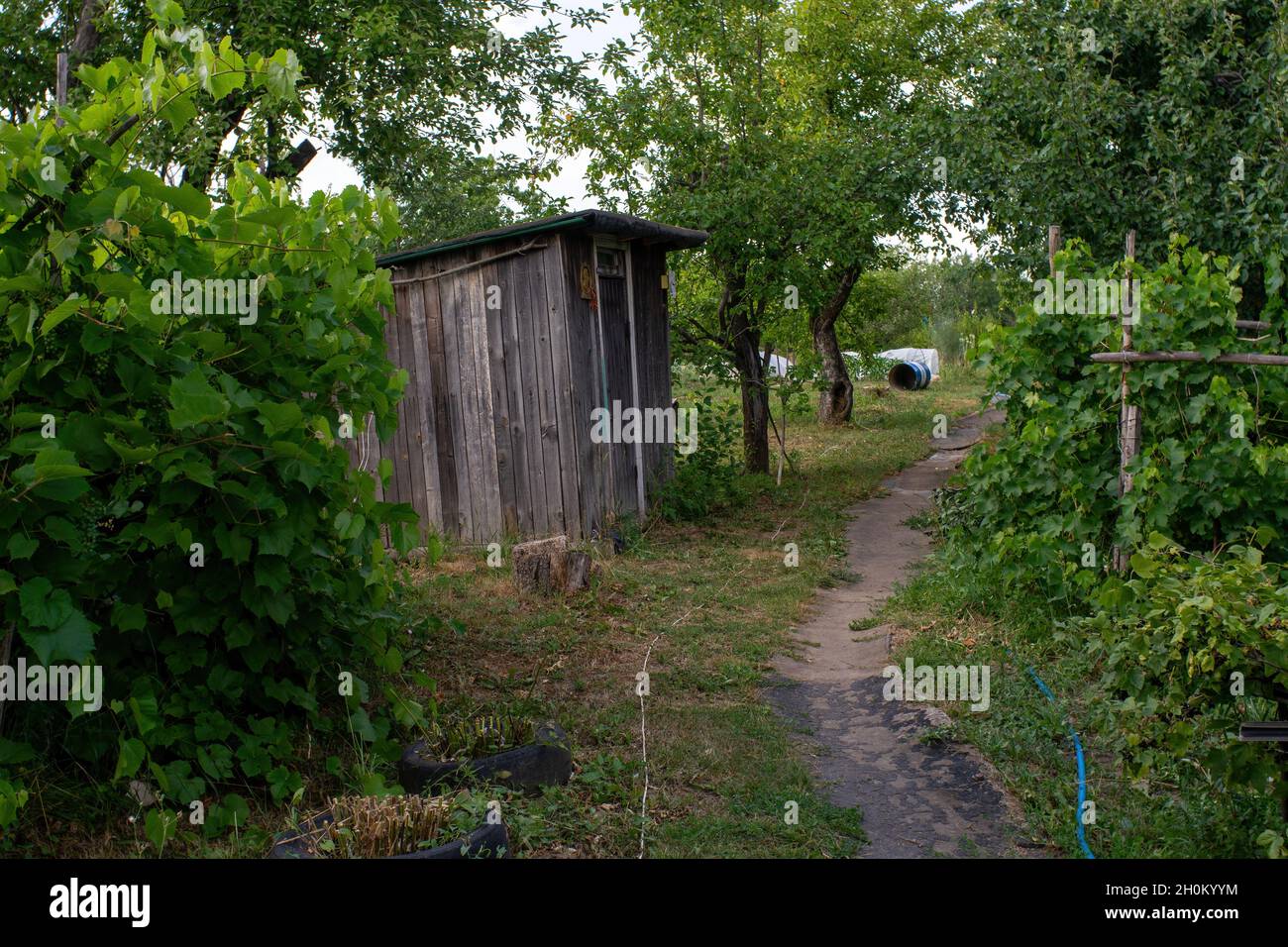small wooden structure in the garden, in summer Stock Photo - Alamy