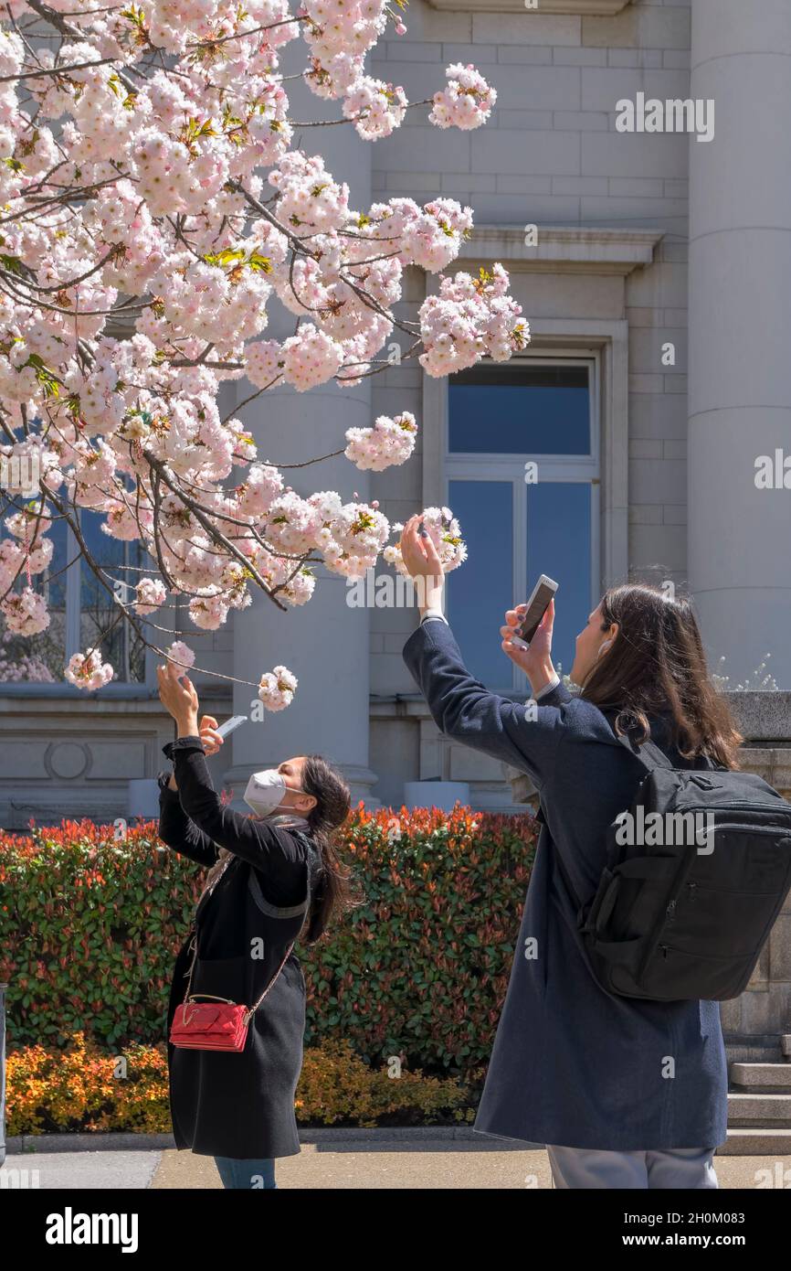 spring in Sofia,Bulgaria Stock Photo - Alamy