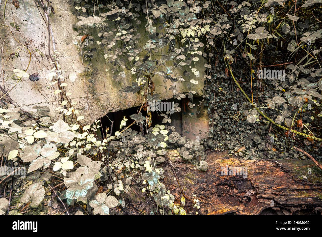 Old blown up remains of some Siegfried Line bunkers along the border ...