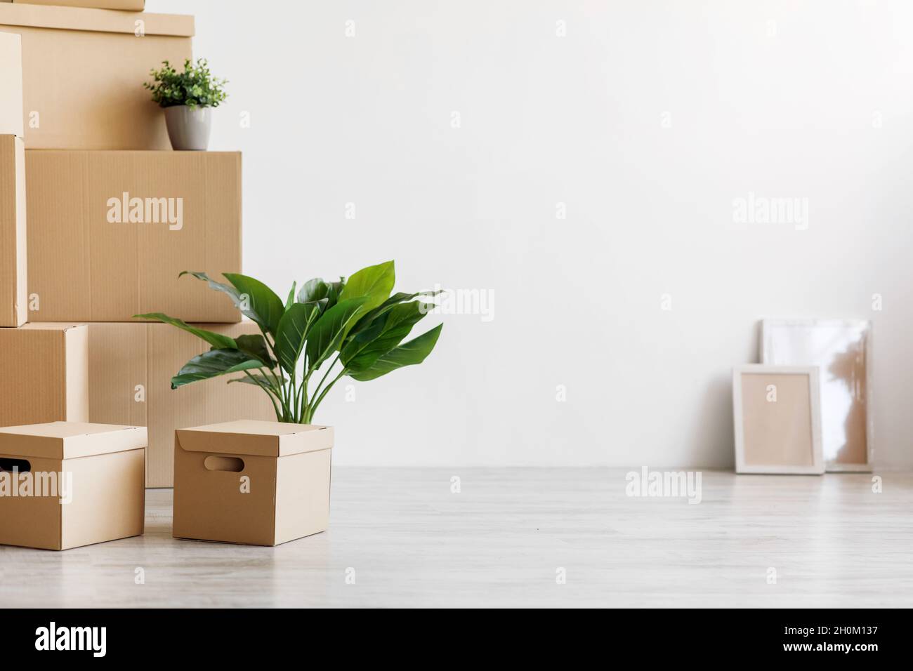 Stack of different cardboard boxes with belongings and green plants in ...