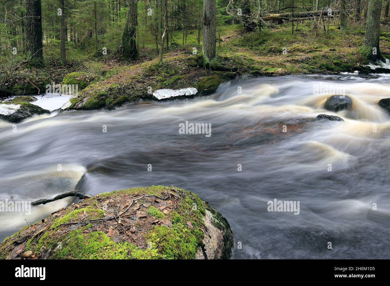 Beautiful river forest hi-res stock photography and images - Alamy