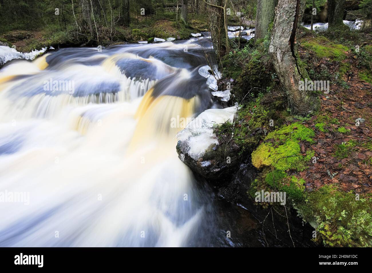Beautiful river forest hi-res stock photography and images - Alamy
