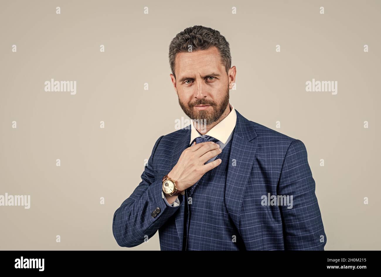 charismatic businessman man in formal suit fix tie, copy space Stock ...