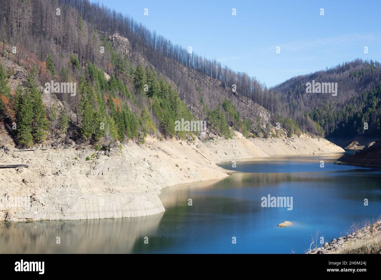 Burnt trees in the hills around Cougar Dam show the effects of the ...