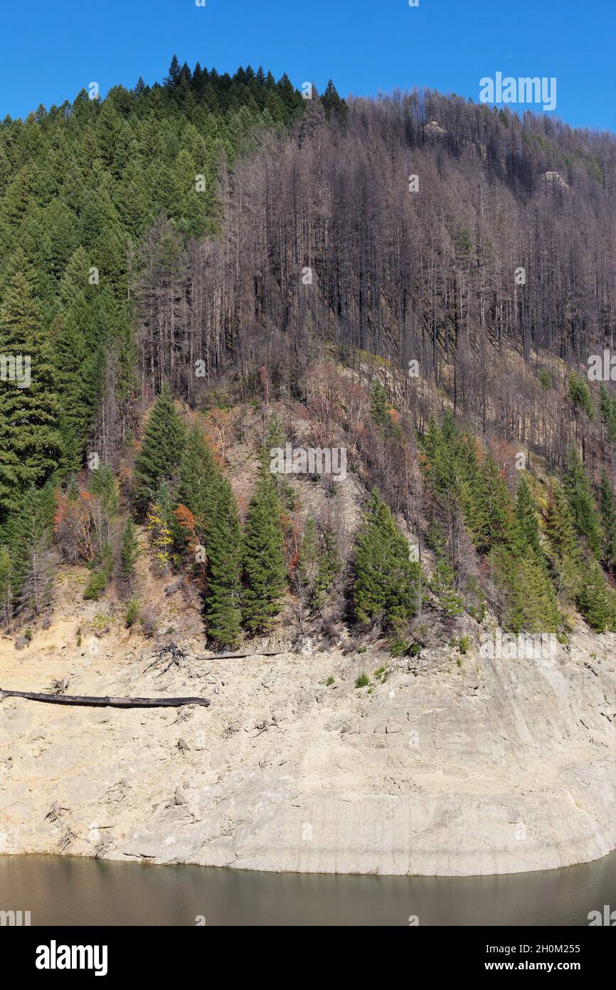 Wildfire aftermath hi-res stock photography and images - Alamy