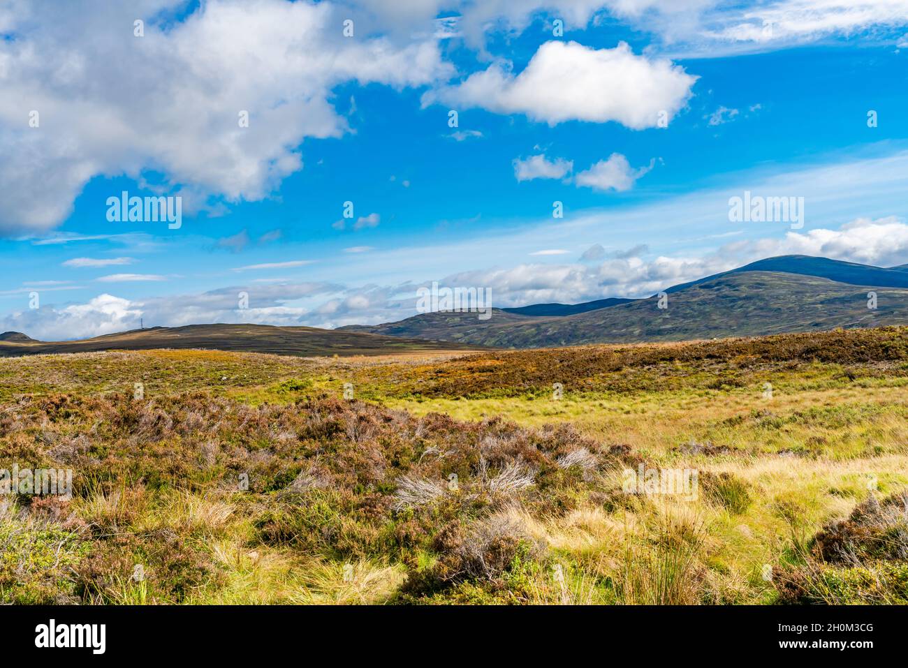 Beautiful rural landscape in Scottish Higlands, Scotland, UK Stock ...