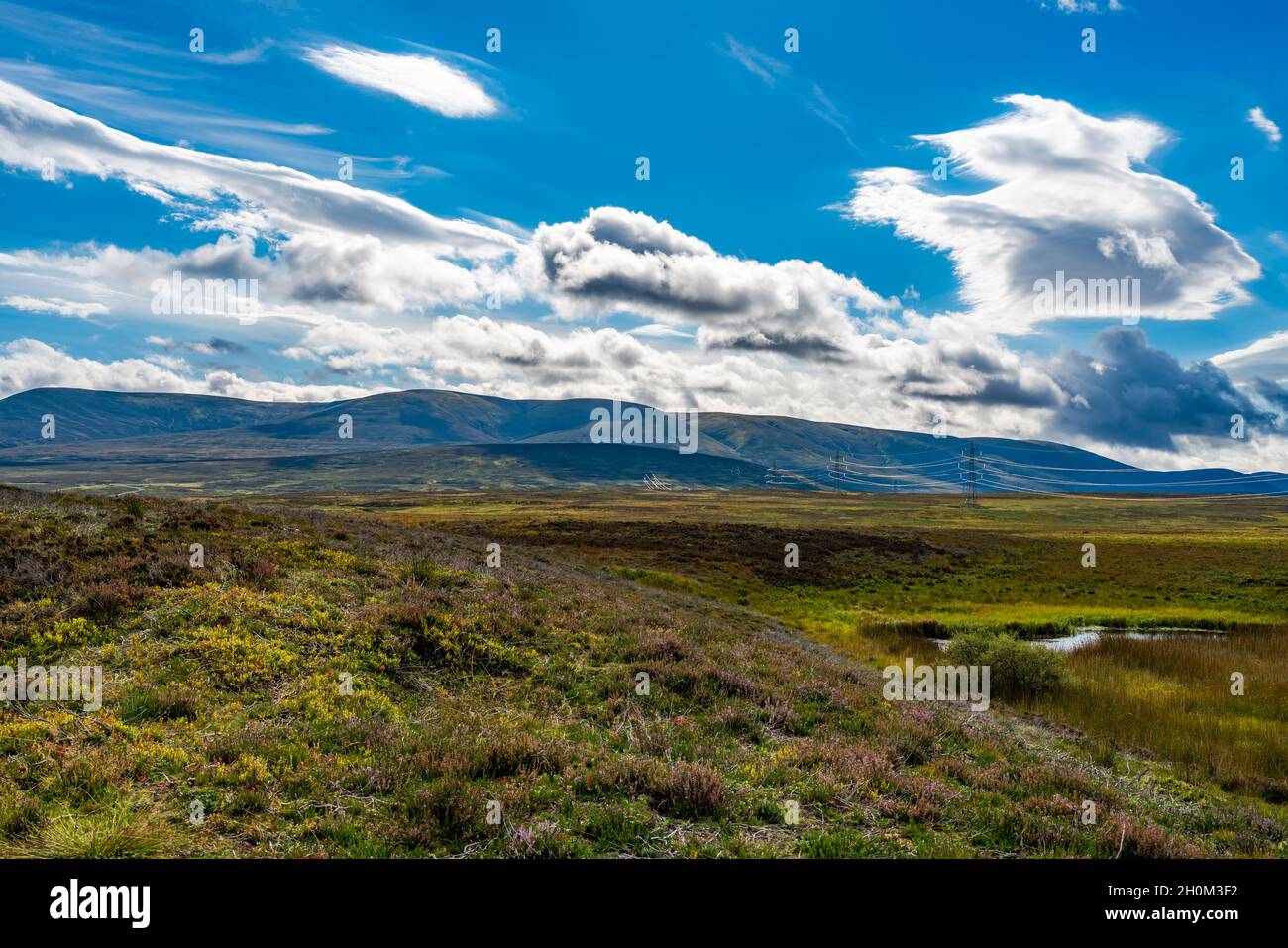 Beautiful rural landscape in Scottish Higlands, Scotland, UK Stock ...