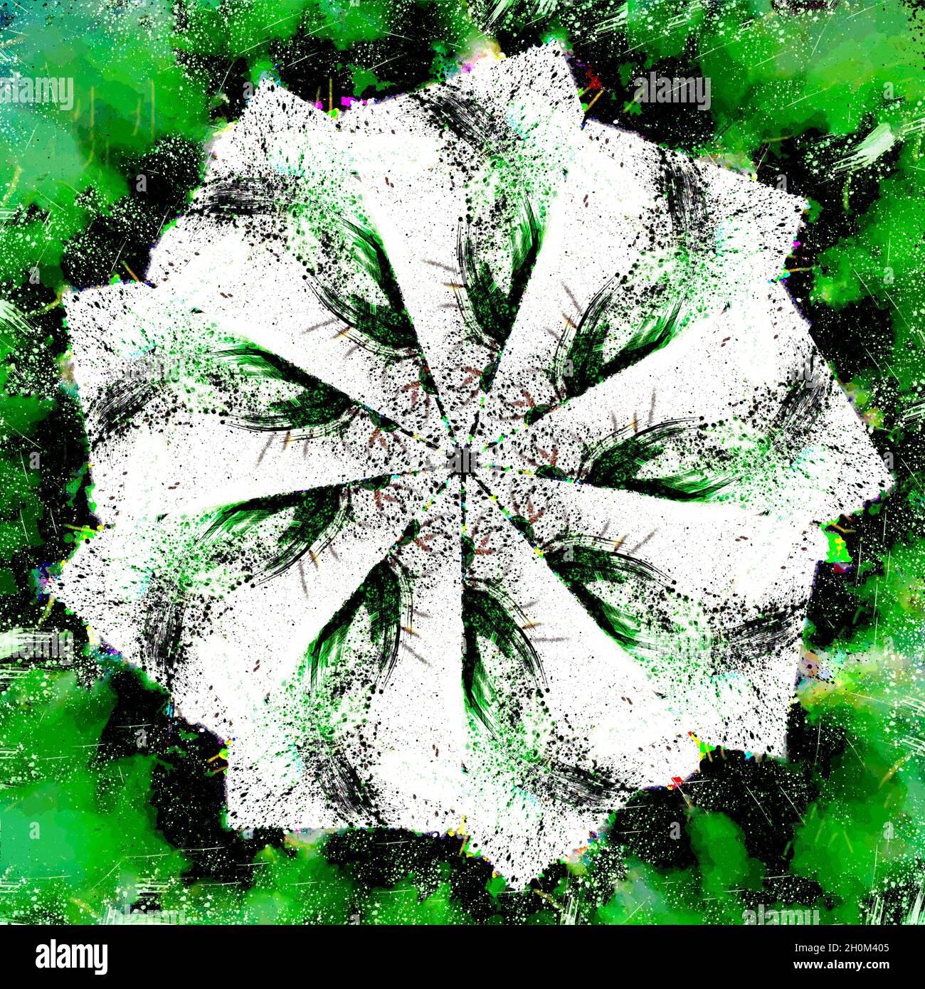 Tweer hi-res stock photography and images - Alamy