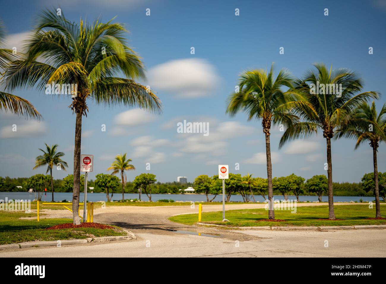 Long exposure day photo palm trees in a Miami nature scene Stock Photo ...