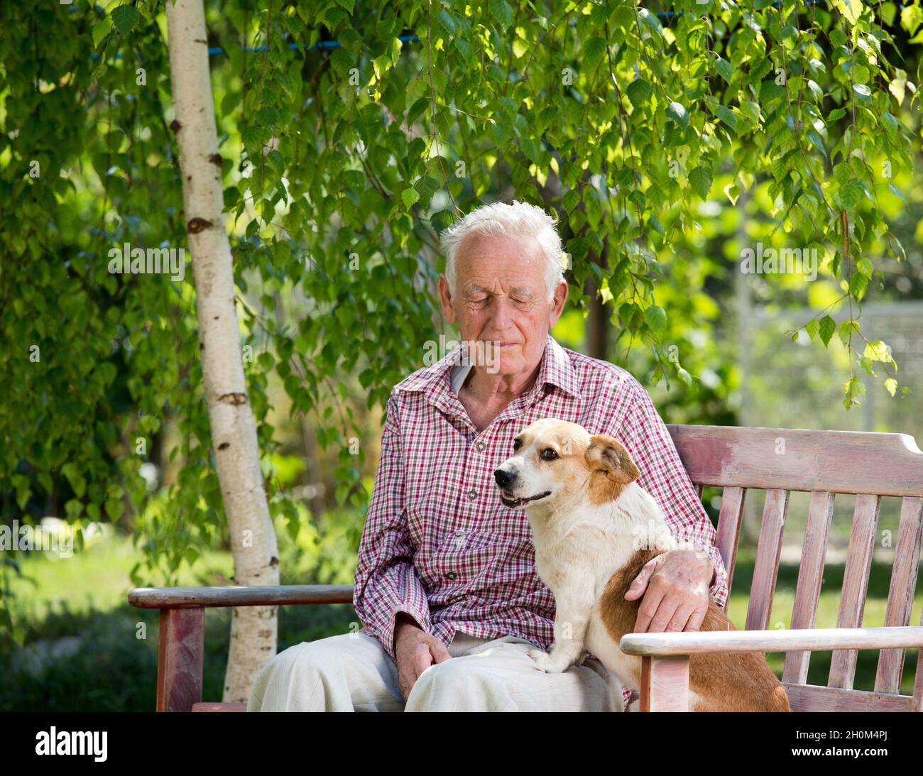Old man cuddling dog on bench in garden in spring Stock Photo - Alamy