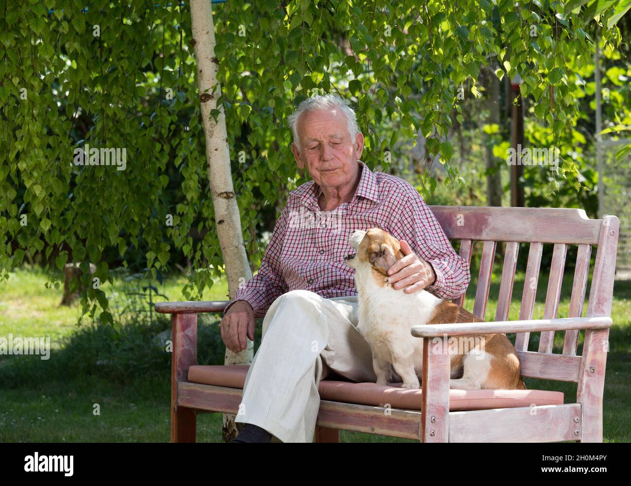 Old man cuddling dog on bench in garden in spring Stock Photo - Alamy